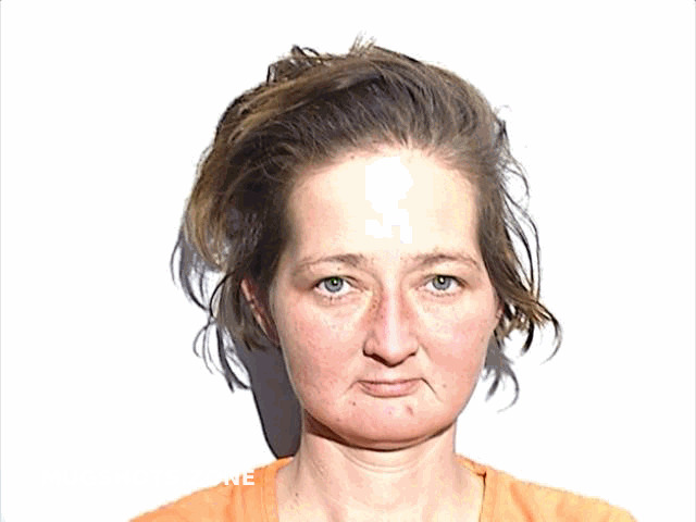 SPILLER ASHLEY MARIE 01/17/2025 - Lucas County Mugshots Zone