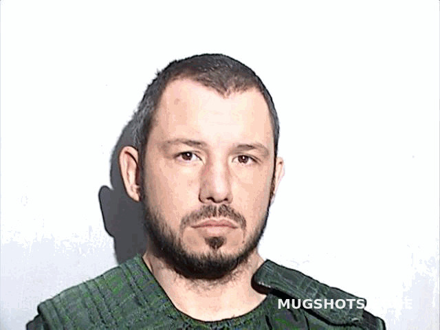 WALSH MICHAEL FRANCIS JR 01/19/2025 - Lucas County Mugshots Zone