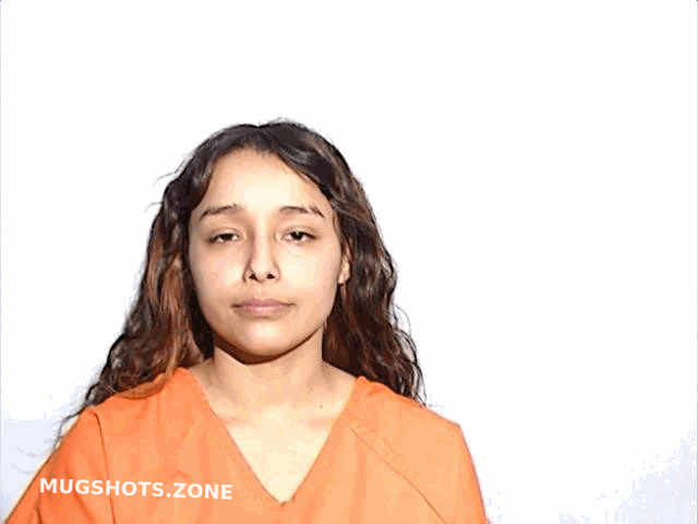 GARCIA EMILY 01/21/2025 - Lucas County Mugshots Zone