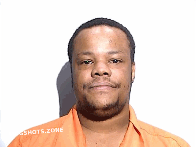 ANDERSON RYAN LAMONT 01/23/2025 - Lucas County Mugshots Zone