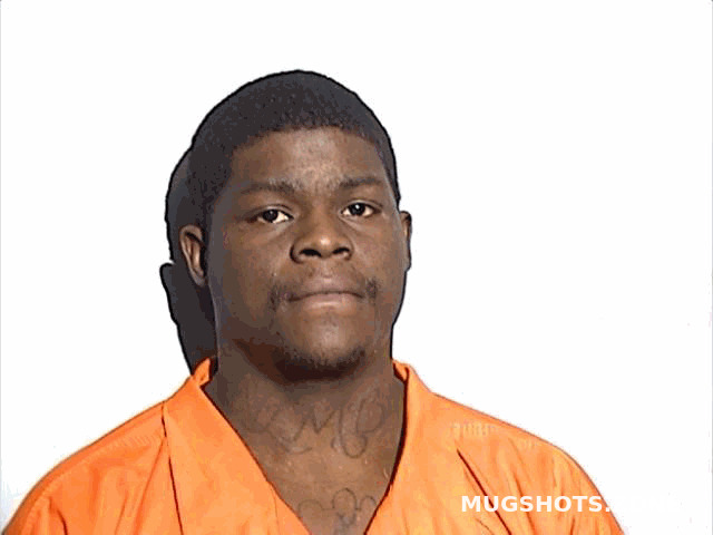 LUCAS EWAN 01/25/2025 - Lucas County Mugshots Zone