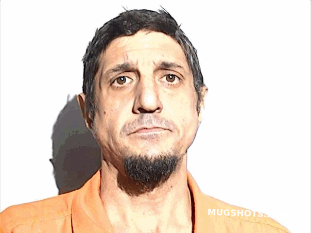 CERAVOLO ANTHONY MICHAEL 01/25/2025 - Lucas County Mugshots Zone