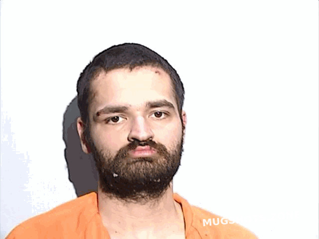 DILLINGER LOGAN JOHN 01/29/2025 - Lucas County Mugshots Zone