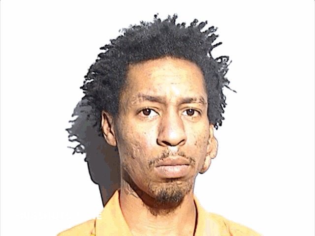 GALLOWAY DAVID DWAYNE 01/31/2025 - Lucas County Mugshots Zone