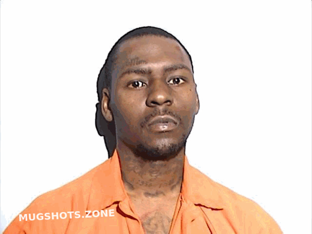 WILLIAMS TYSHAWN A 01/31/2025 - Lucas County Mugshots Zone
