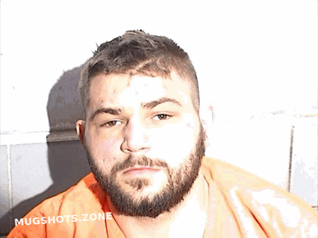 CRAIG DUSTIN ANDREW 02/01/2025 - Lucas County Mugshots Zone