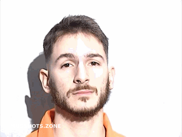 STAHL NICHOLAS ANDREW 02/03/2025 - Lucas County Mugshots Zone