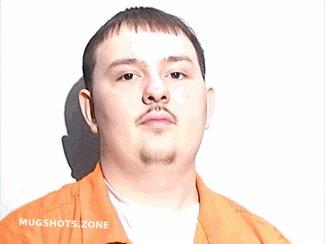 BROWN JAYSON ANDREW 02/08/2025 - Lucas County Mugshots Zone