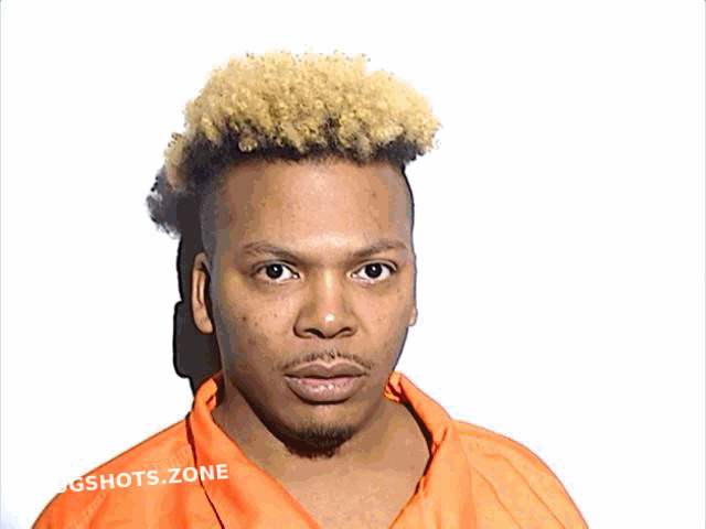 WALKER BRIAN MICHAEL 02/08/2025 - Lucas County Mugshots Zone