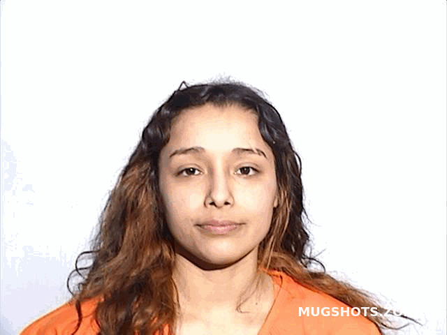 GARCIA EMILY 02/09/2025 - Lucas County Mugshots Zone