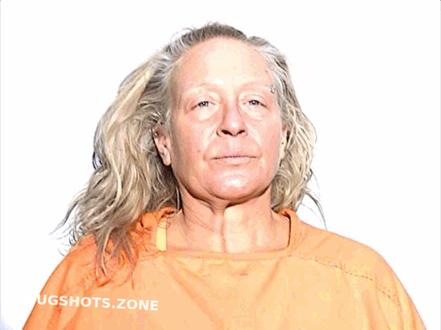 SADOWSKI REBECCA ELAYNE 02/13/2025 - Lucas County Mugshots Zone