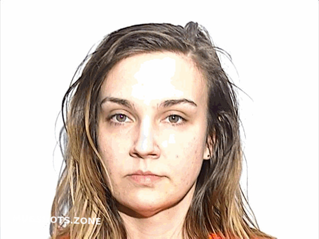 SILER JESSICA LYNN 02/16/2025 - Lucas County Mugshots Zone