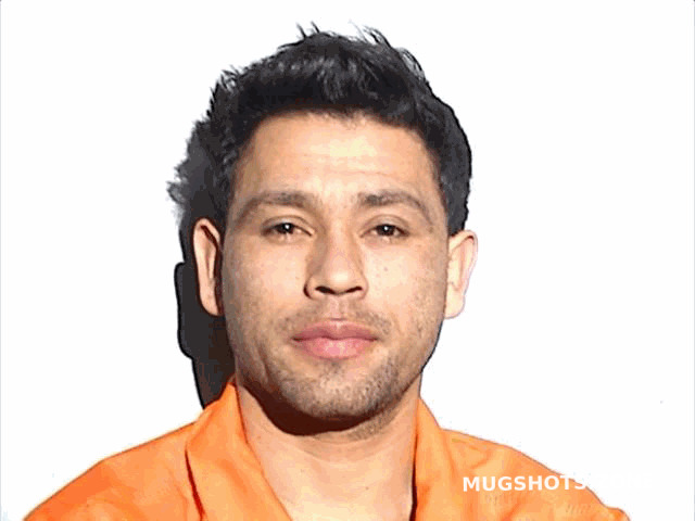 CALIX-ROMERO FRANKLIN RAMON 02/18/2025 - Lucas County Mugshots Zone