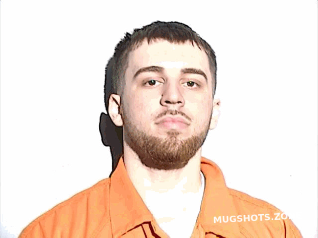 LYND TYLER ALEXANDER 02/19/2025 - Lucas County Mugshots Zone