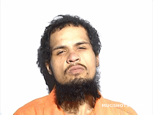 SHIPES DAMIEN A 02/19/2025 - Lucas County Mugshots Zone