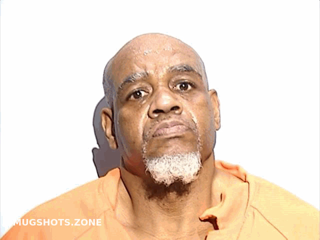RICHARDSON JEWETT LEWIS 02/24/2025 - Lucas County Mugshots Zone