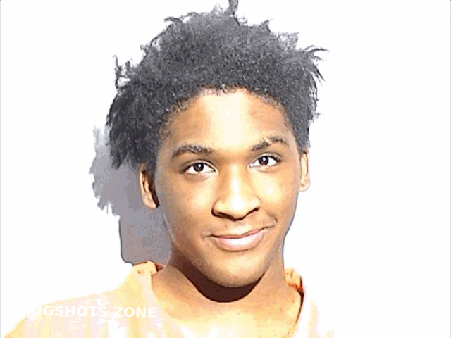 KING MONTRECE ANTWAN 02/25/2025 - Lucas County Mugshots Zone