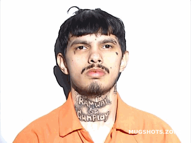 PEREZ ANGELO LEE 02/28/2025 - Lucas County Mugshots Zone