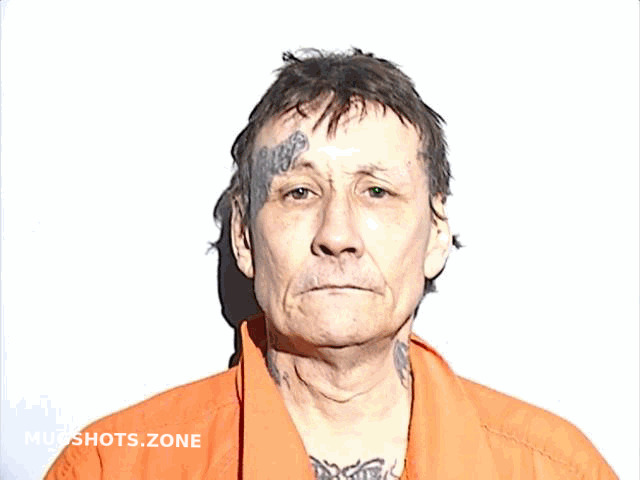 TOLER RONNIE LEE 03/03/2025 - Lucas County Mugshots Zone