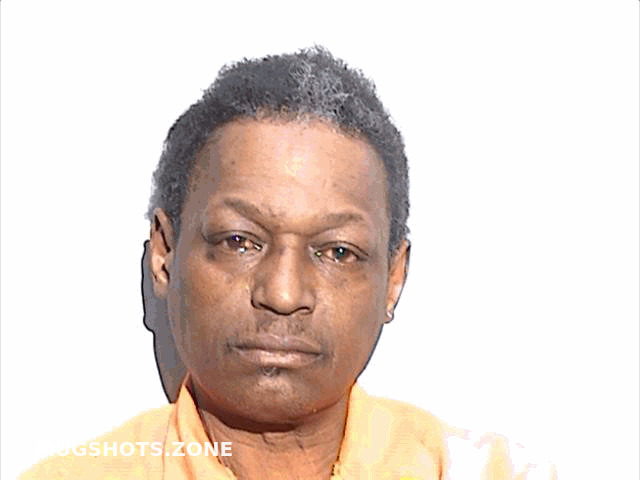 WILLIAMSON CLEASTER JULIUS III 03/06/2025 - Lucas County Mugshots Zone