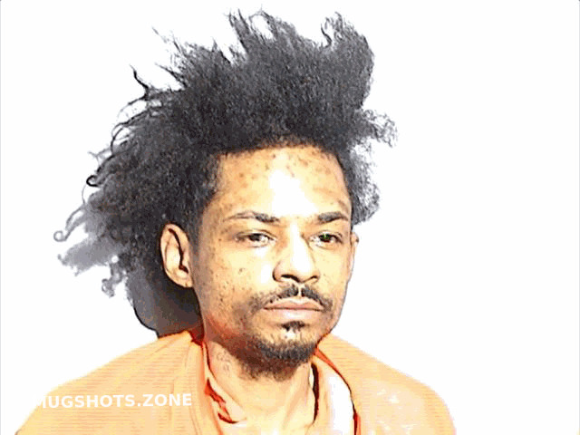 ADAMS JAVONTE 03/06/2025 - Lucas County Mugshots Zone