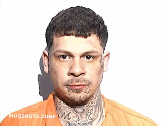 VERES DARRYL STEPHEN 03/08/2025 - Lucas County Mugshots Zone