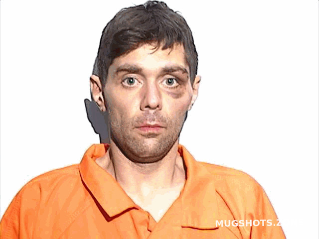 SHIVELY ANDREW MICHAEL 03/08/2025 - Lucas County Mugshots Zone