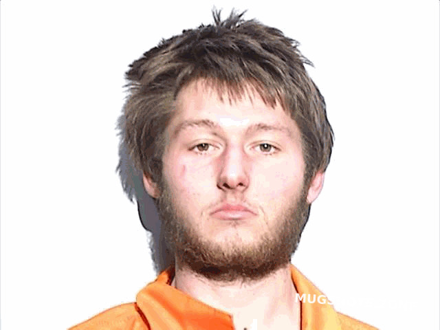 NEITZKE DULTAN RAY 03/10/2025 - Lucas County Mugshots Zone