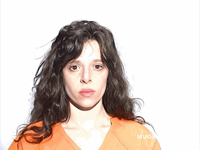 HEALEY JODACI PAIGE 03/11/2025 - Lucas County Mugshots Zone