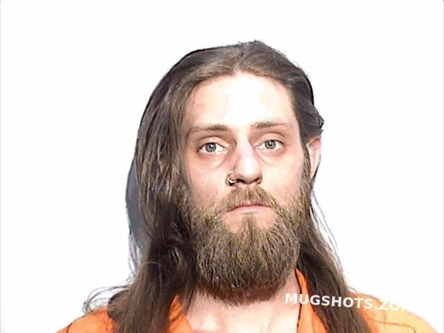 PATTERSON MATTHEW LEE 03/15/2025 - Lucas County Mugshots Zone