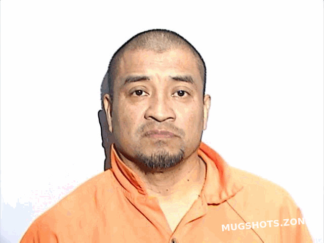 CHAVEZ-HERNANDEZ OMAR 03/20/2025 - Lucas County Mugshots Zone