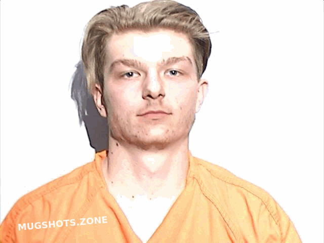 HOLTGRIEVE NICHOLAS MATTHEW 03/21/2025 - Lucas County Mugshots Zone