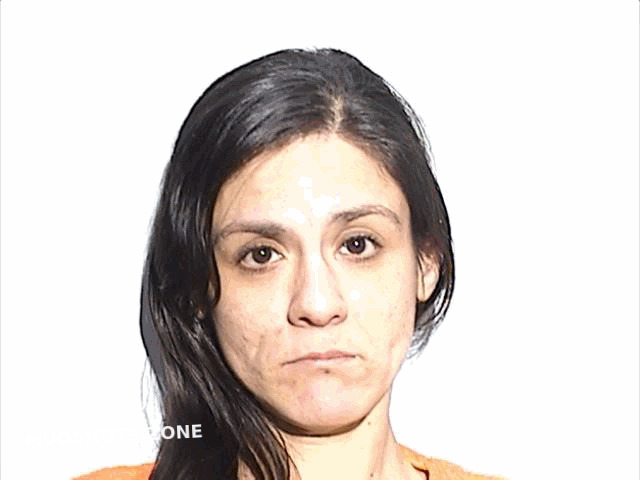 BLANCO-IVEY ASHLEY MARIE 03/24/2025 - Lucas County Mugshots Zone
