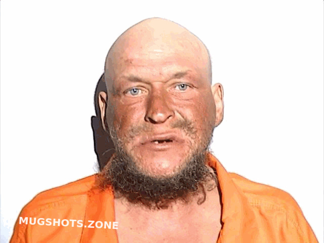 FOXWELL JAY ALLEN 03/27/2025 - Lucas County Mugshots Zone