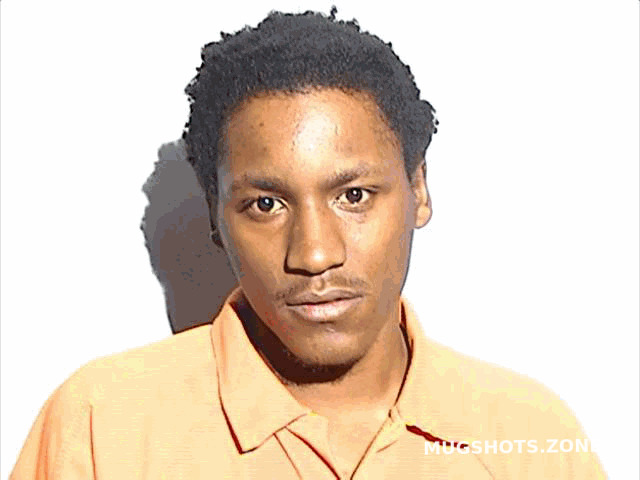 SILLS ALANTI ROOSEVELT 03/28/2025 - Lucas County Mugshots Zone