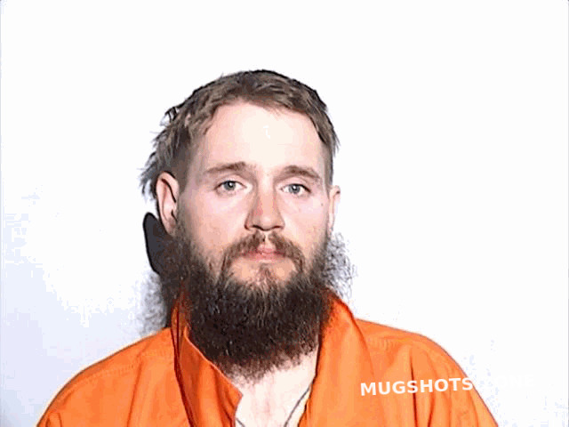 NAGYPAUL JOSHUA ALLEN 03/28/2025 - Lucas County Mugshots Zone