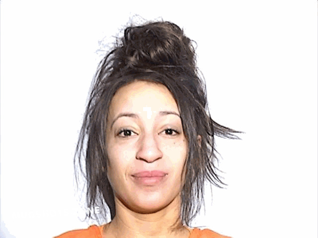 CANNON ANALICIA MONIQUE 03/29/2025 - Lucas County Mugshots Zone