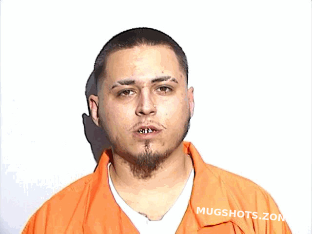 JANAURA KASSIR IMAD 03/29/2025 - Lucas County Mugshots Zone