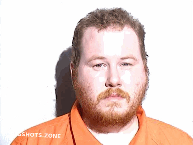 WILLIAMSON DANIEL RUSSELL 04/01/2025 - Lucas County Mugshots Zone