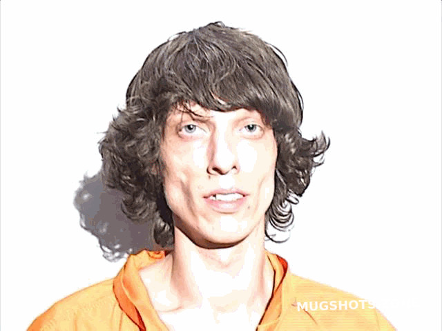 CHAGOLLA FRANCISCO V 04/05/2025 - Lucas County Mugshots Zone