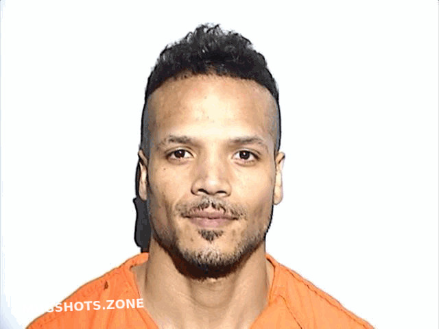 PECINA JASON ERIC 04/11/2025 - Lucas County Mugshots Zone