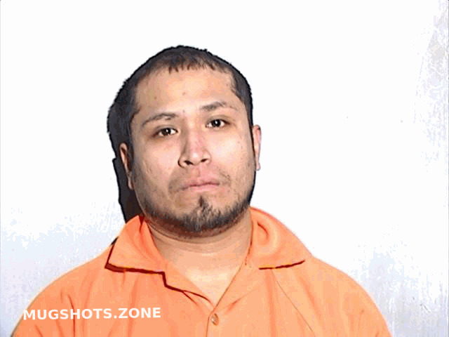 VEGA OSVALDO M 04/11/2025 - Lucas County Mugshots Zone