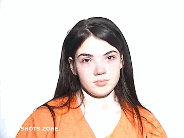 MELCHER KAYLIE JOANNA 04/11/2025 - Lucas County Mugshots Zone