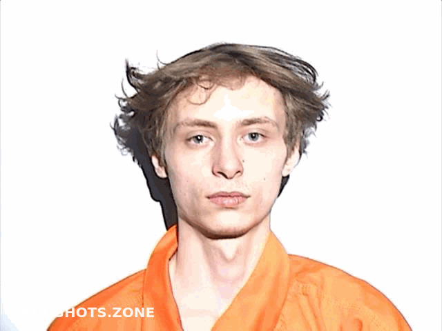 NEIBERT ANTHONY DANIEL 04/11/2025 - Lucas County Mugshots Zone