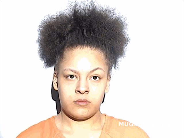 SMITH HARMONEE ANN 04/12/2025 - Lucas County Mugshots Zone
