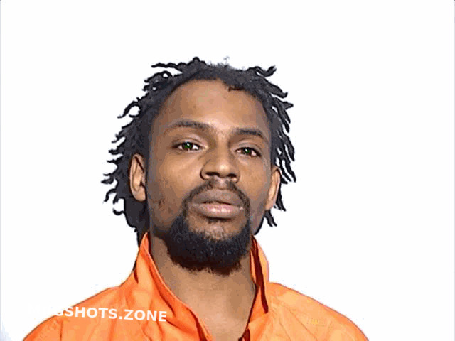 LEWIS JOSHUA ALLEN 04/13/2025 - Lucas County Mugshots Zone