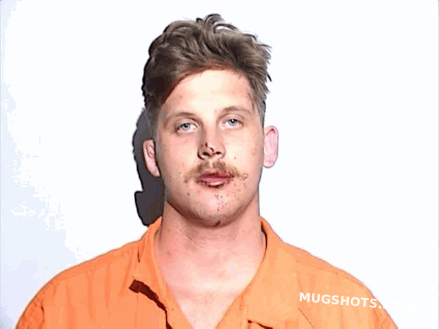 MORGAN HUNTER JAMES 04/13/2025 - Lucas County Mugshots Zone