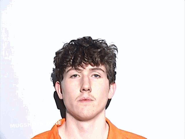 LUTZ CONNOR JAMES 04/15/2025 - Lucas County Mugshots Zone
