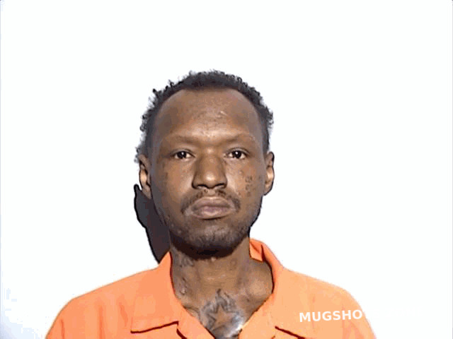 MANNING CHRISTOPHER LAMON SR 04/16/2025 - Lucas County Mugshots Zone