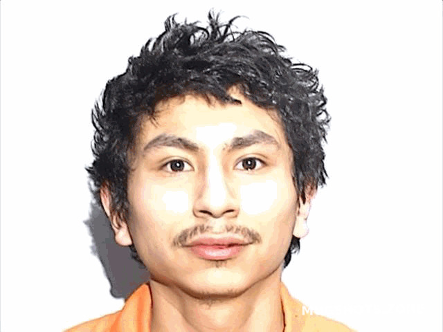 DELUNA GILBERTO REYES-REVILLA JR 04/16/2025 - Lucas County Mugshots Zone